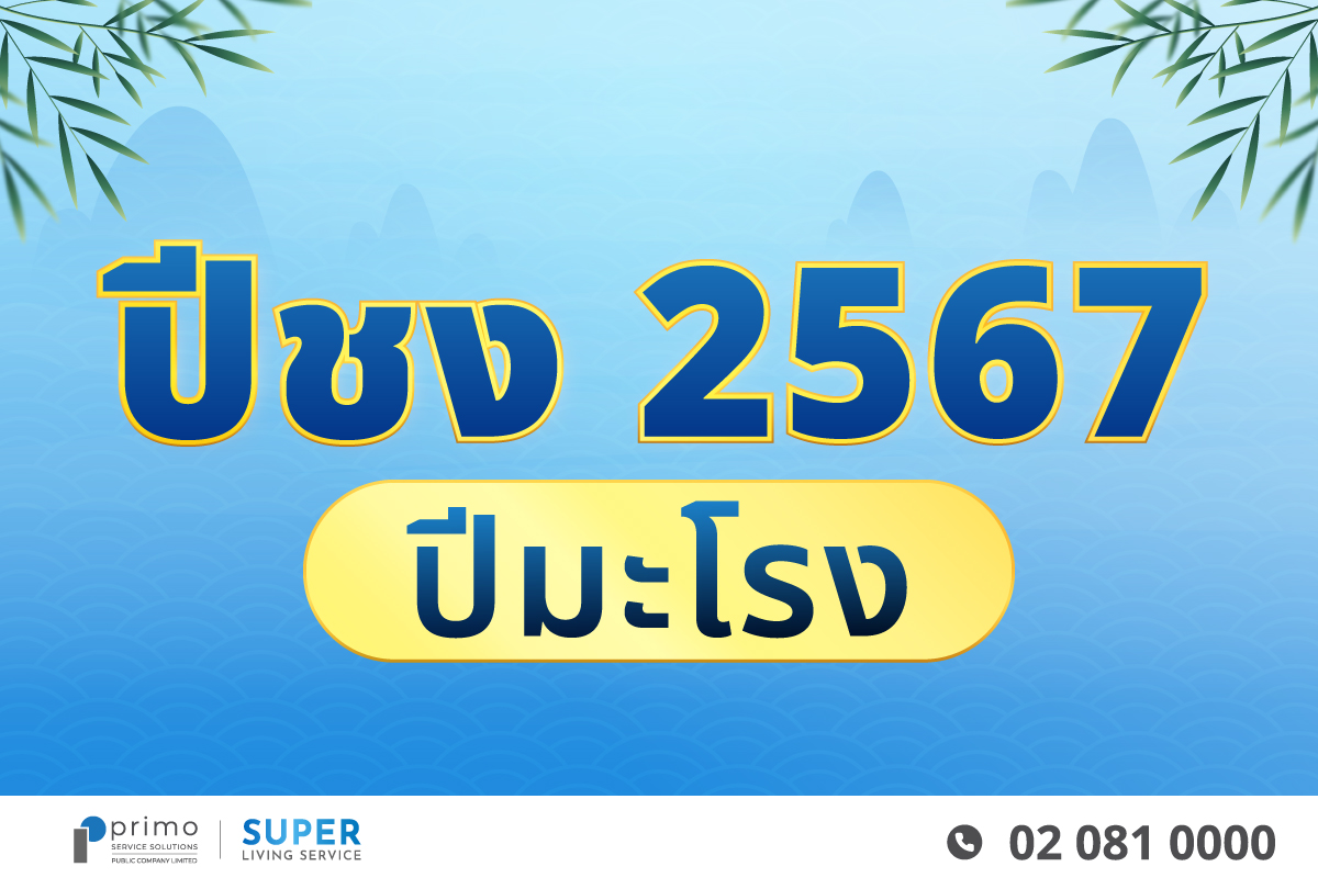 เช็คด่วน แก้ปีชง 2567 ปีไหนชงบ้าง แก้อย่างไร อัปเดตล่าสุด2567