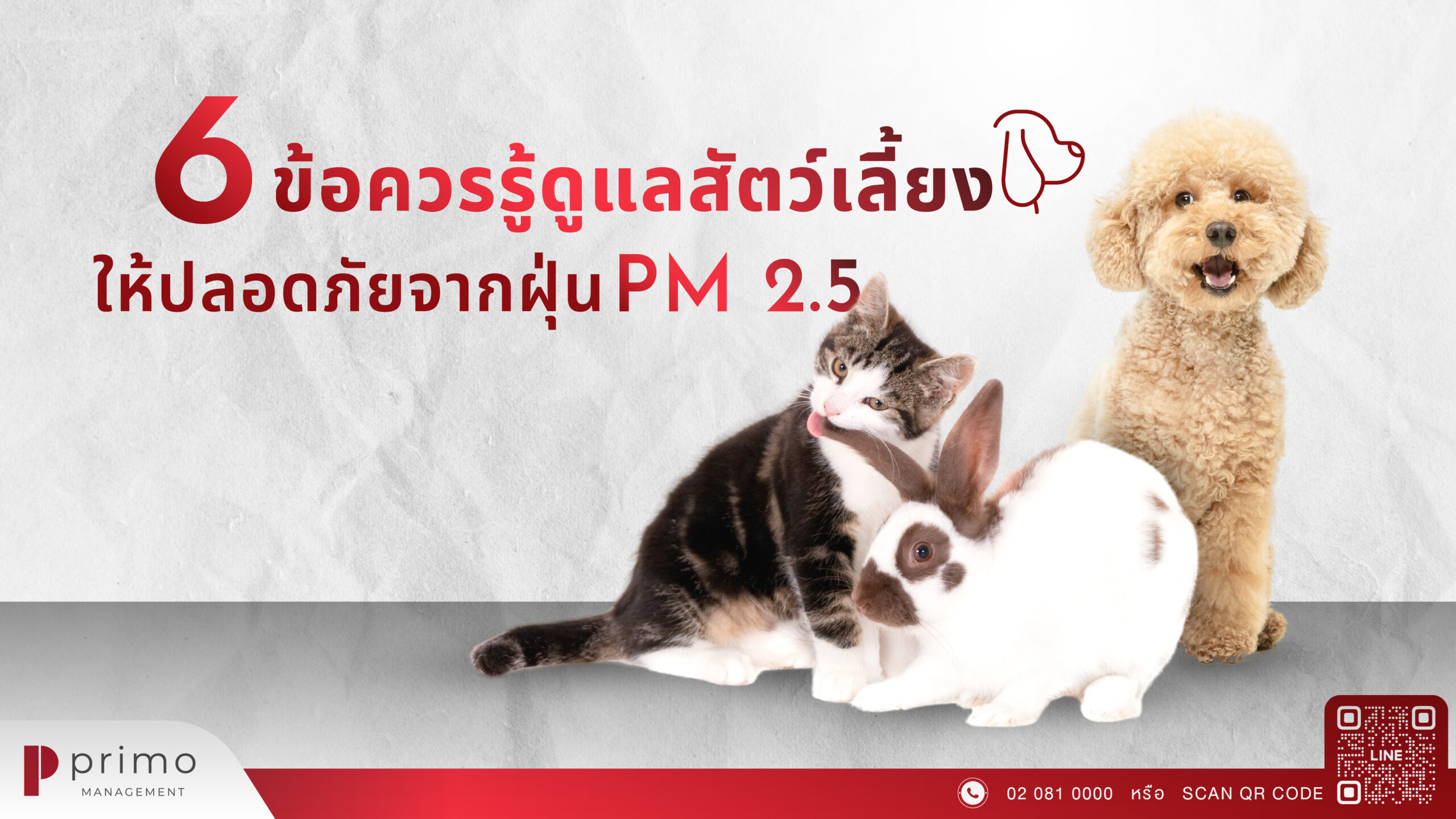6 ข้อควรรู้ดูแลสัตว์เลี้ยงให้ปลอดภัยจาก ฝุ่น PM 2.5